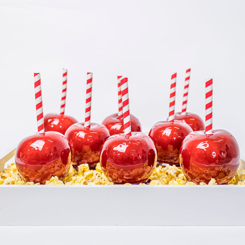 FUN FOODS – Circus Eats